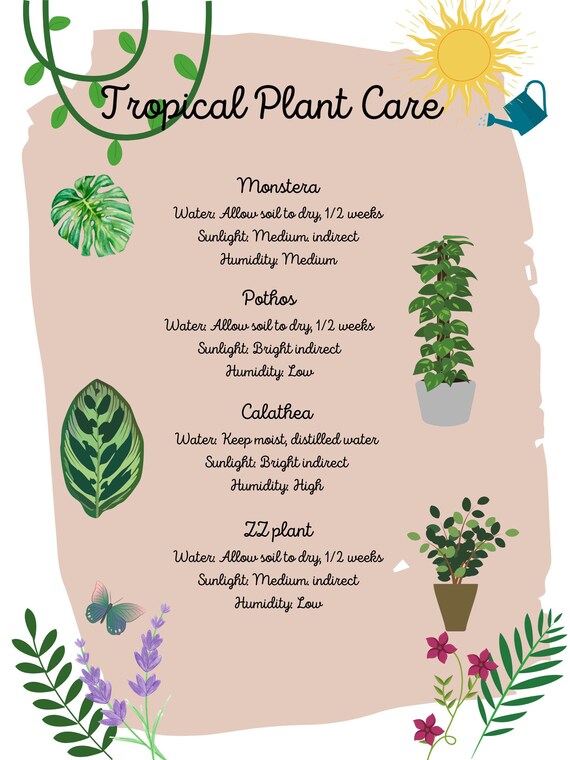 Tropical Plant Identification Guide