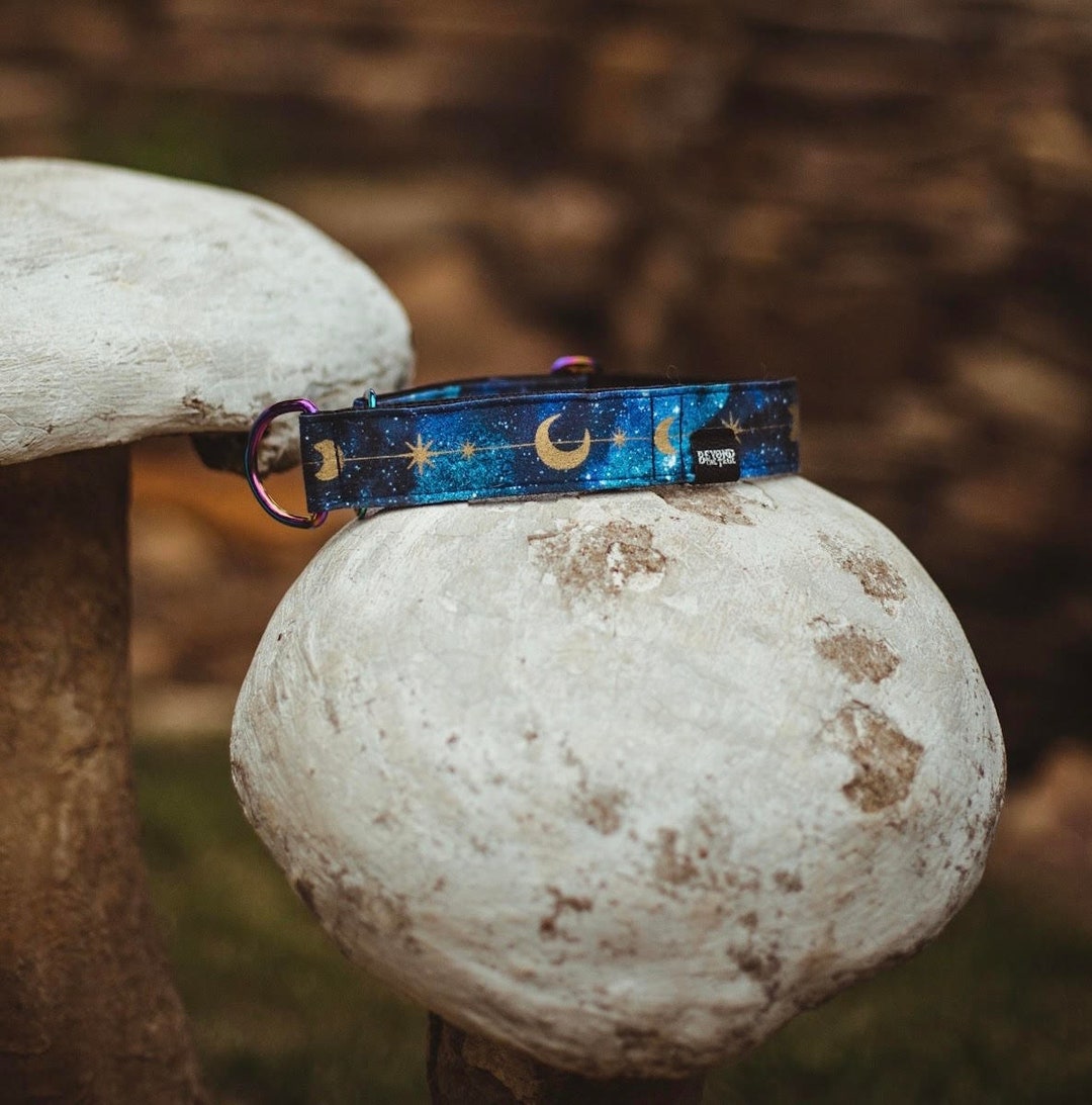 Snow Moon- Februarys Full Moon Dog Collar, Galaxy, Metallic, Moons and ...