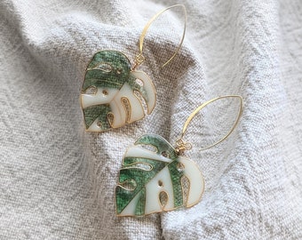 Monstera Albo - Etsy