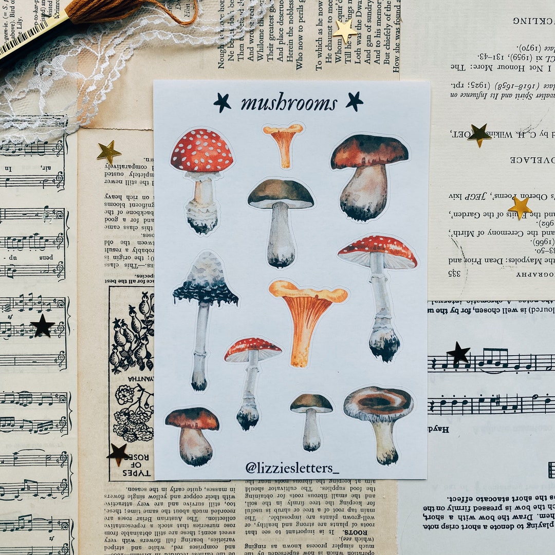 Mushrooms Sticker Sheet - Etsy