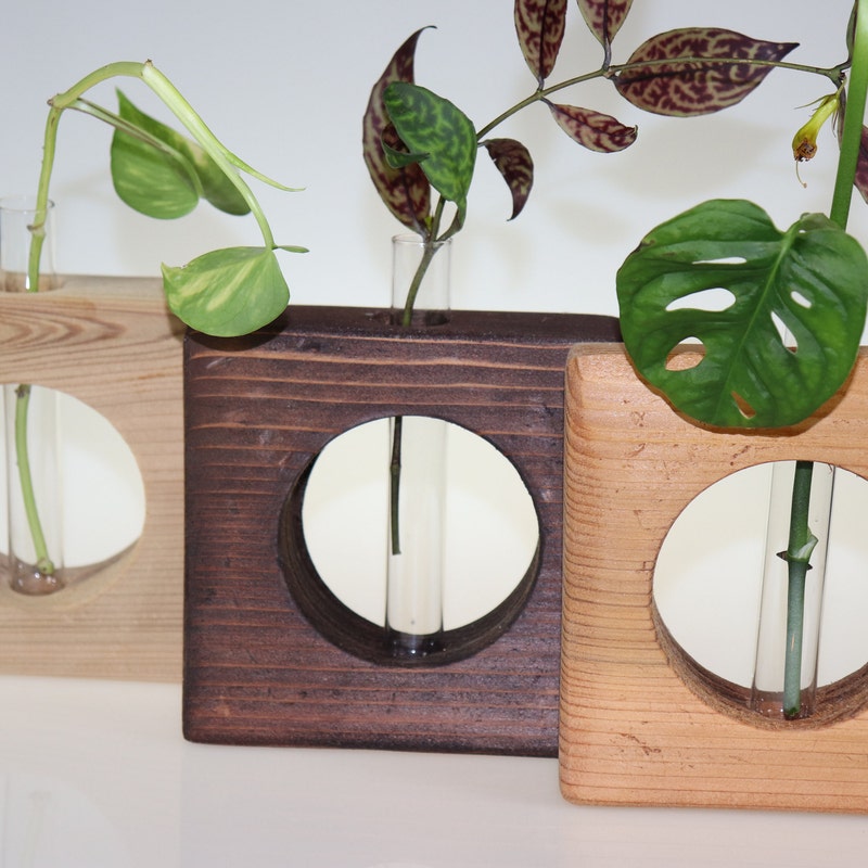 Test Tube Planter - Etsy