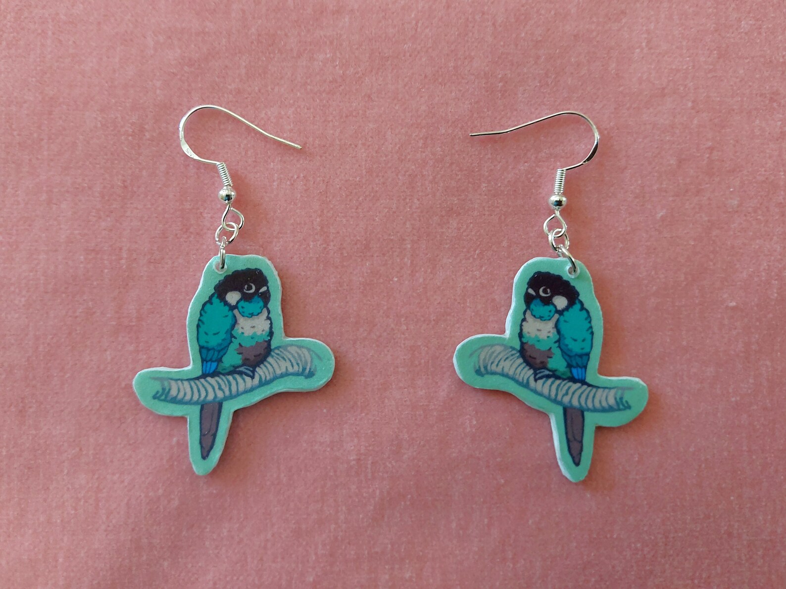 Green Cheek Conure Earrings - Customizable - Handmade - Etsy