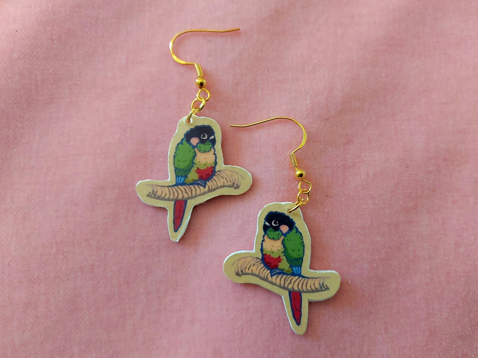 Green Cheek Conure Earrings - Customizable - Handmade - Etsy