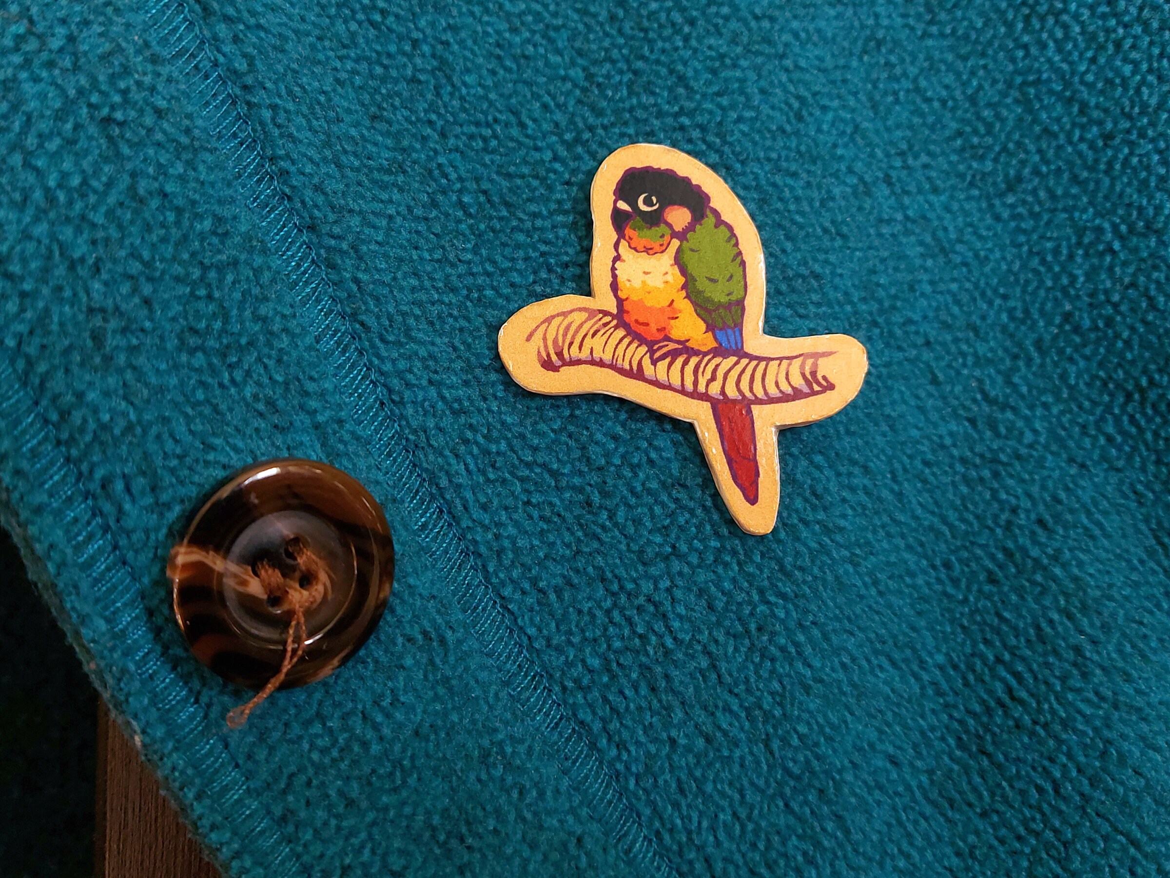 Green Cheek Conure Pin/badge/brooch - Customizable - Handmade - Etsy
