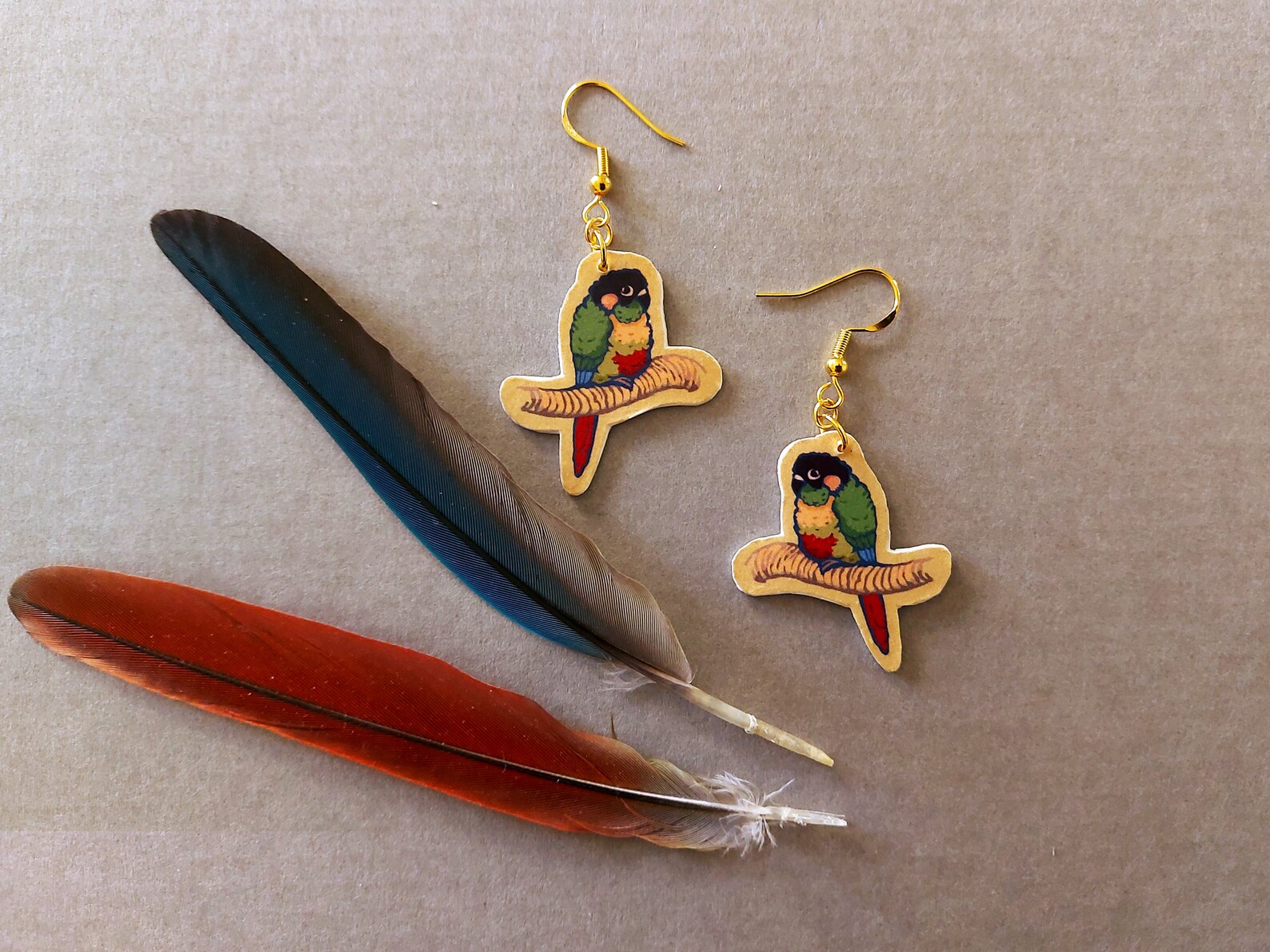 Green Cheek Conure Earrings - Customizable - Handmade - Etsy
