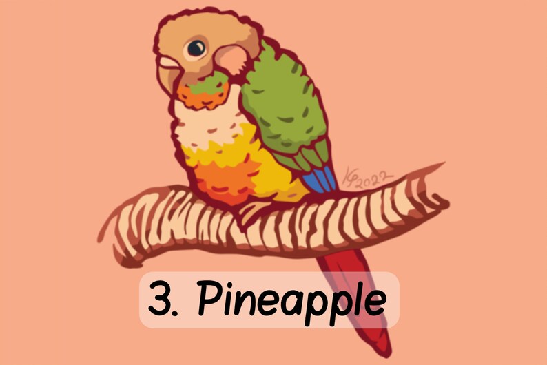 Green Cheek Conure Pin/badge/brooch - Customizable - Handmade - Etsy