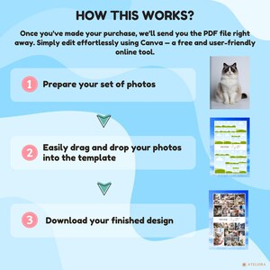 Pet Funeral Program – Editable Canva Obituary Template for Dog or Cat ...