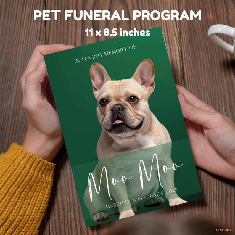 Pet Memorial Funeral Program - Canva Template for Cat or Dog Obituary ...