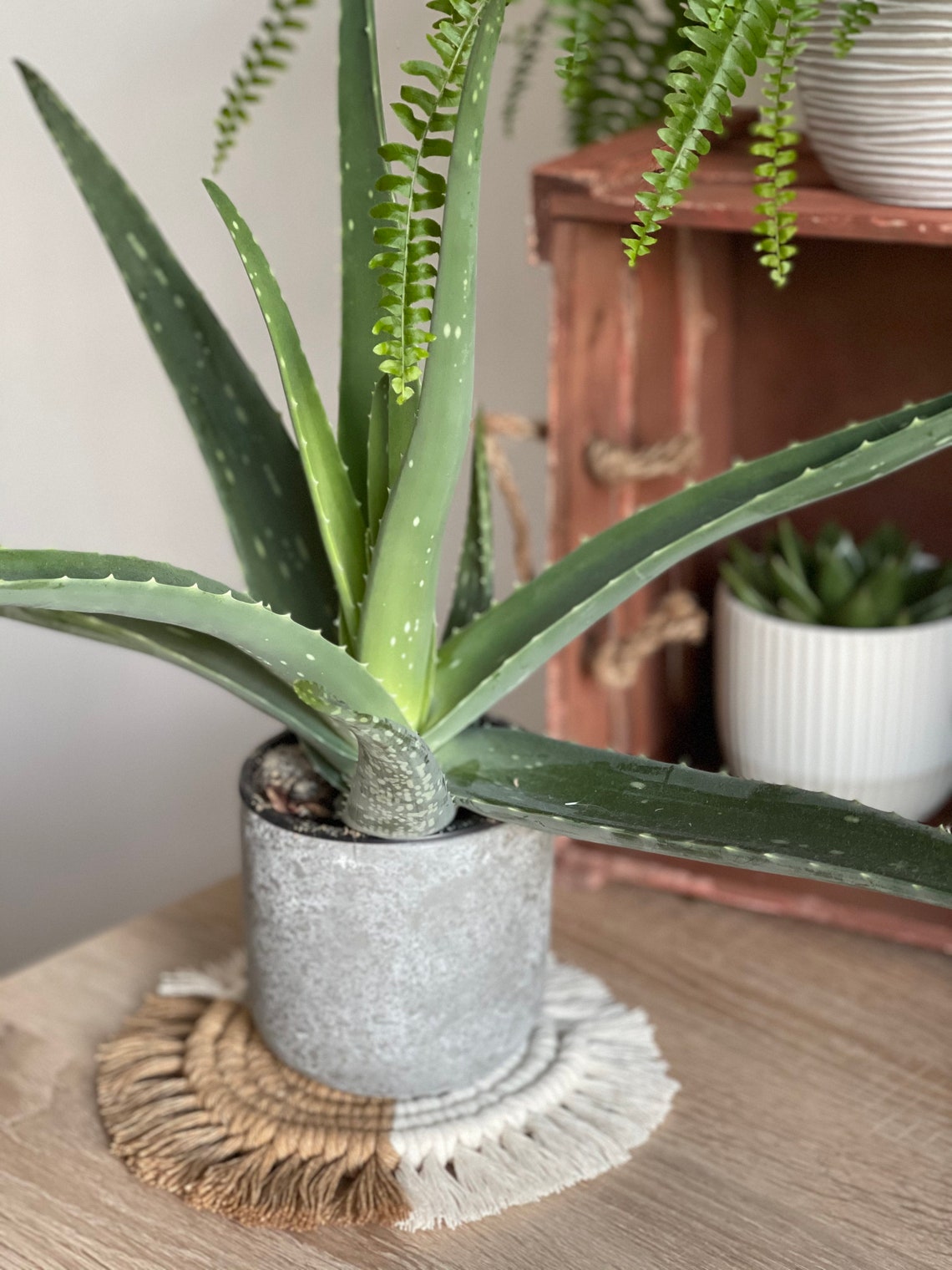 Gorgeous Natural Handmade Round Macrame Plant Mat | Etsy