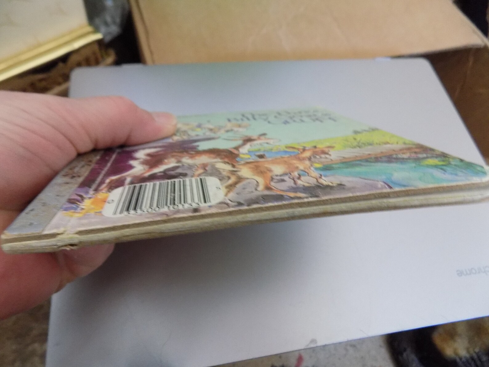 First Golden Book - Etsy