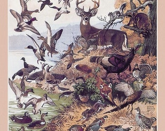 Vintage Remington Wolf Ad Reproduction Framing Print - Etsy