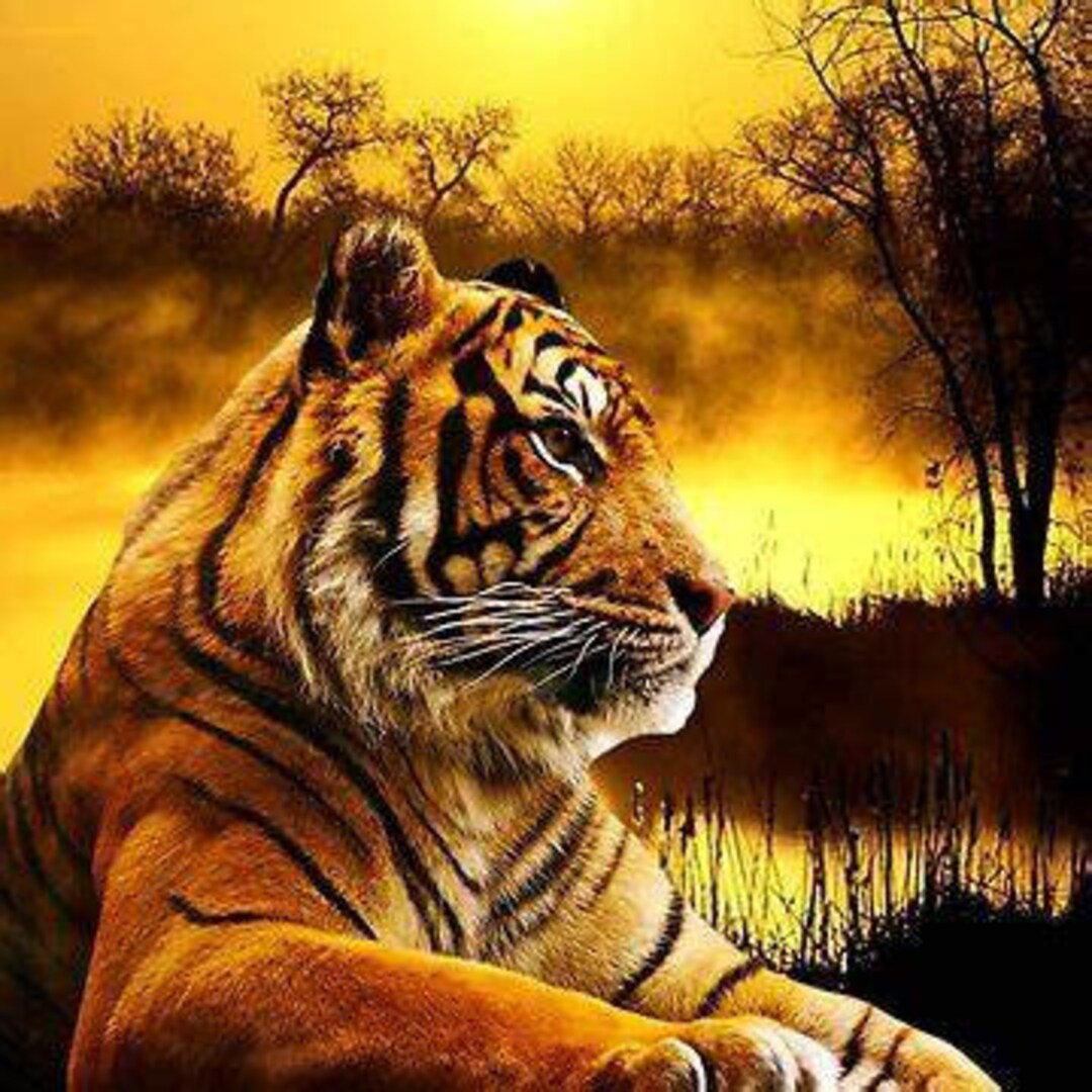 Bengal Tiger Poster Framing Print Safari Jungle Wildlife Wall - Etsy
