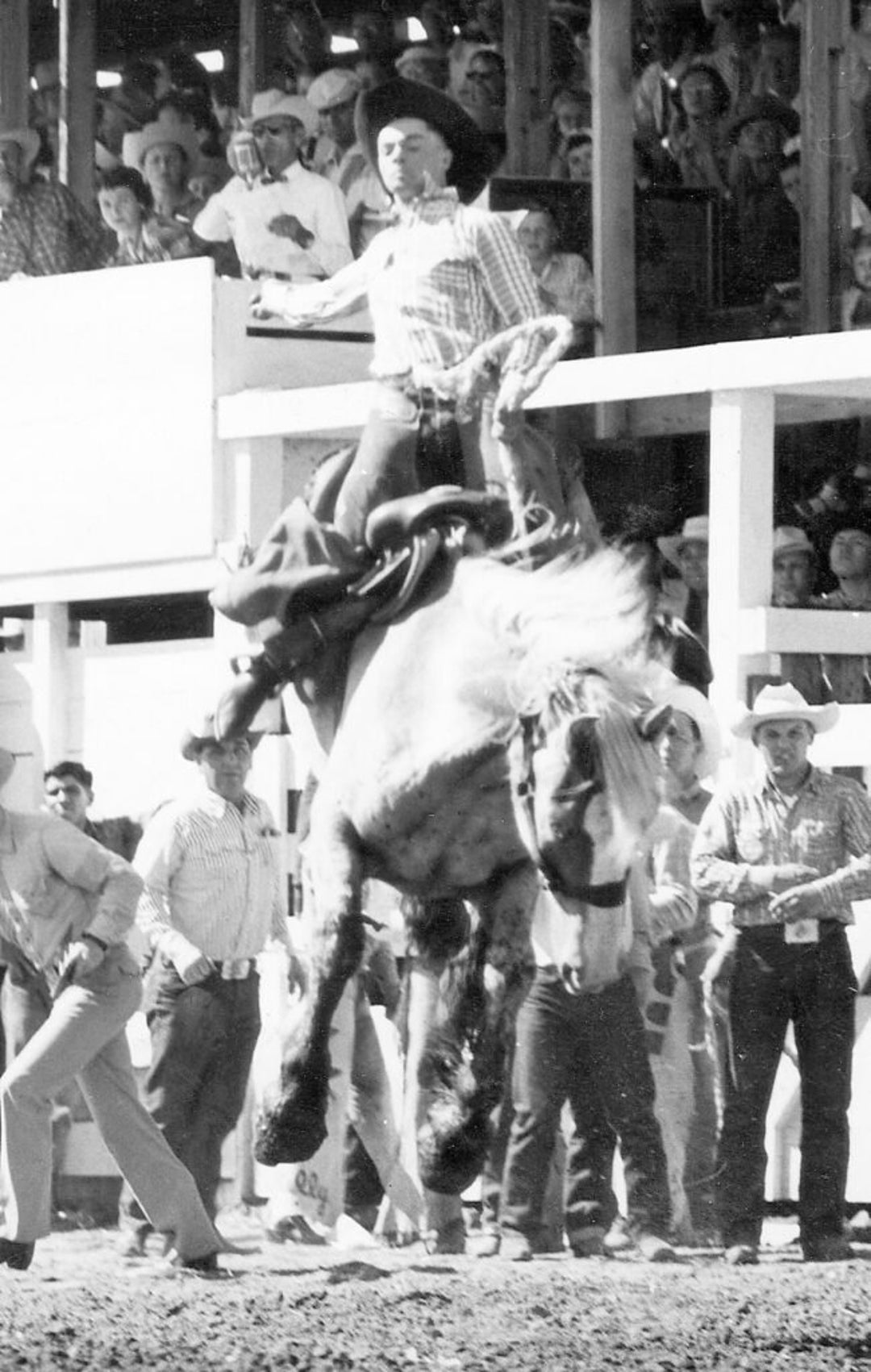 Western Vintage Rodeo Bronc Rider Photo Print Reproduction Wall Decor ...