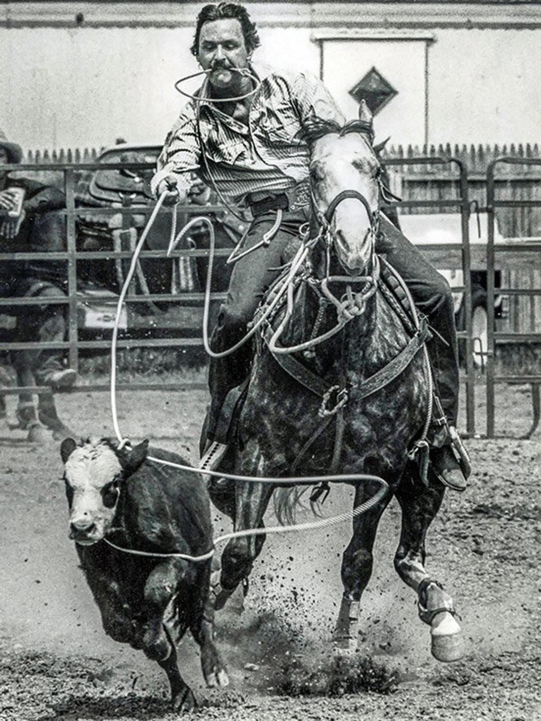 Western Vintage Rodeo Calf Roping Photo Print Reproduction Wall Decor ...