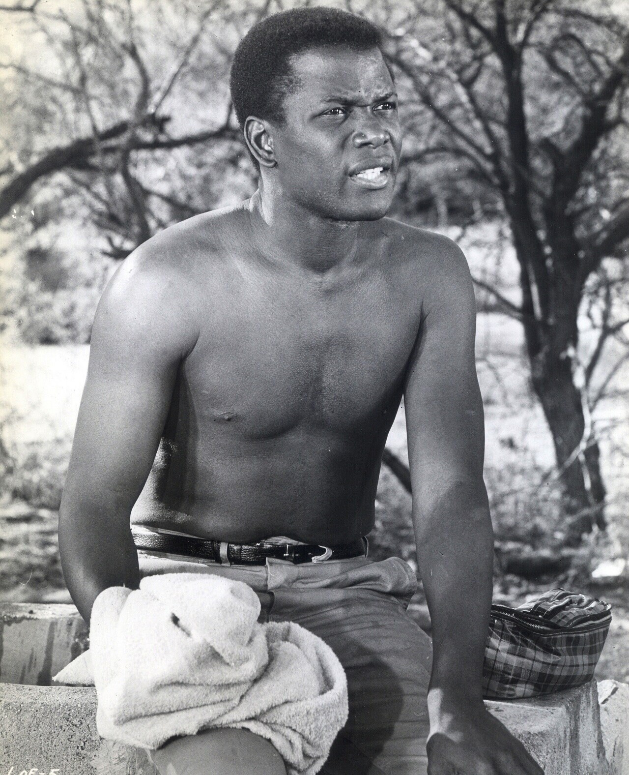 Sidney Poitier Studio Photo Poster Framing Print Vintage Movie Decor ...