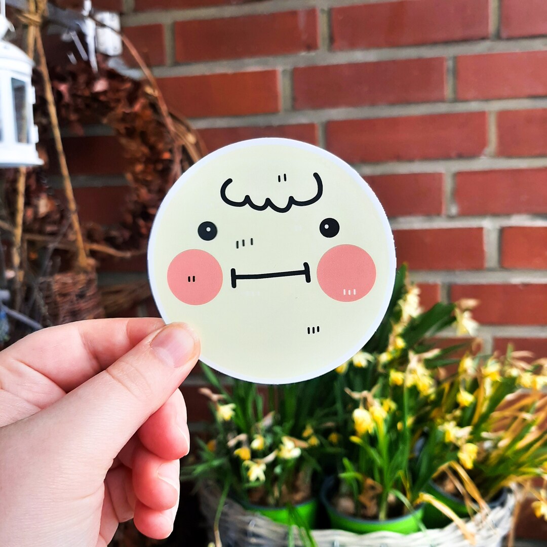 Waterproof Stickers for Cups, Face Sticker for Kids, Funny Stickers for ...