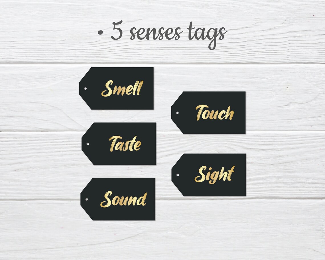 5 Senses Friend Gift Tags Printable Birthday Cards for - Etsy