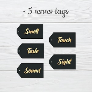 5 Senses Friend Gift Tags - Printable Birthday Cards for Bestie - Five ...