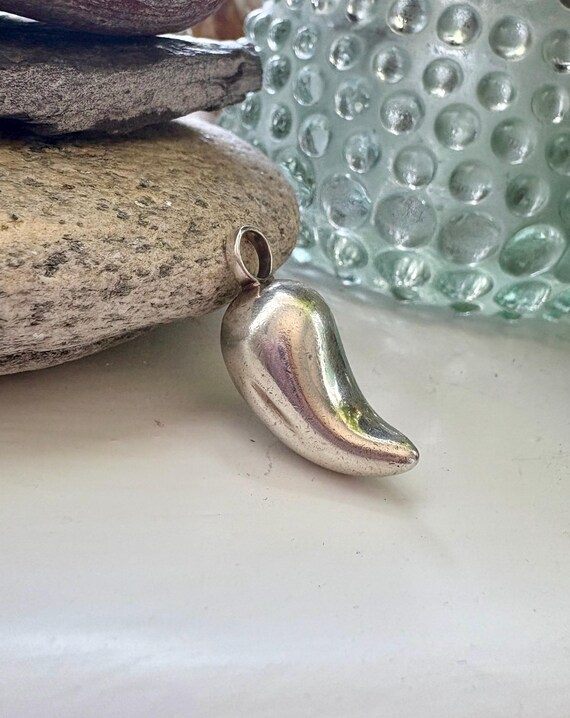 Heavy weight silver cornucopia pendant. Silver chilli… - Gem