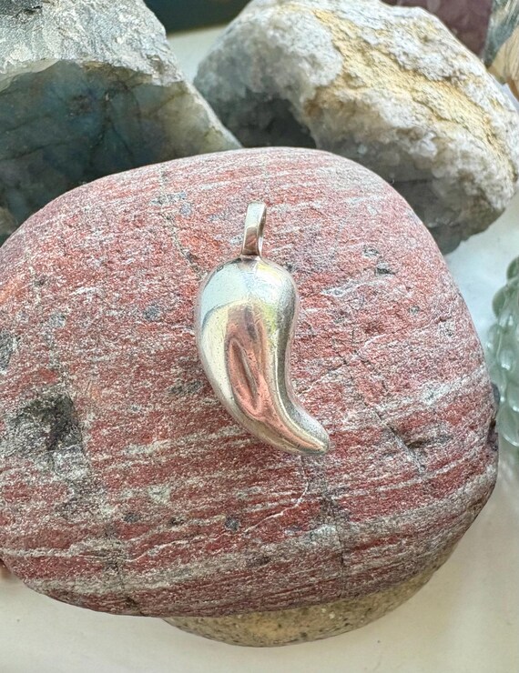 Heavy weight silver cornucopia pendant. Silver chilli… - Gem