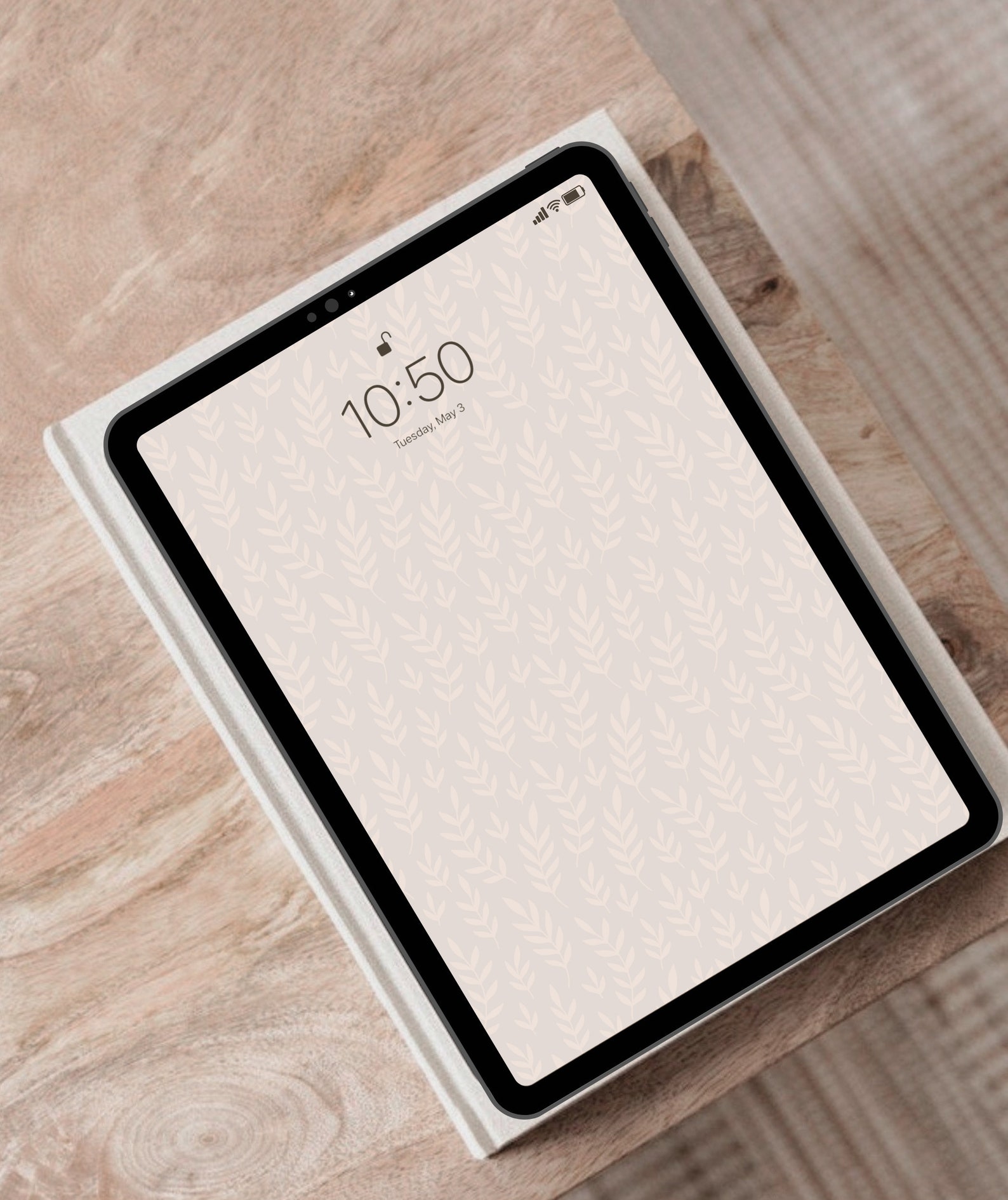 Warm Neutral iPad Wallpaper Boho Tablet Background Warm Boho Neutral ...