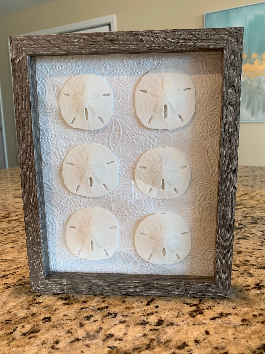 Six Small Sand Dollars in 8 X 10 Brown/grey Wood Frame - Etsy