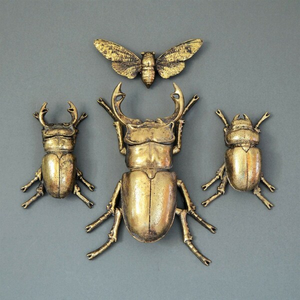 Insect Wall Art - Etsy