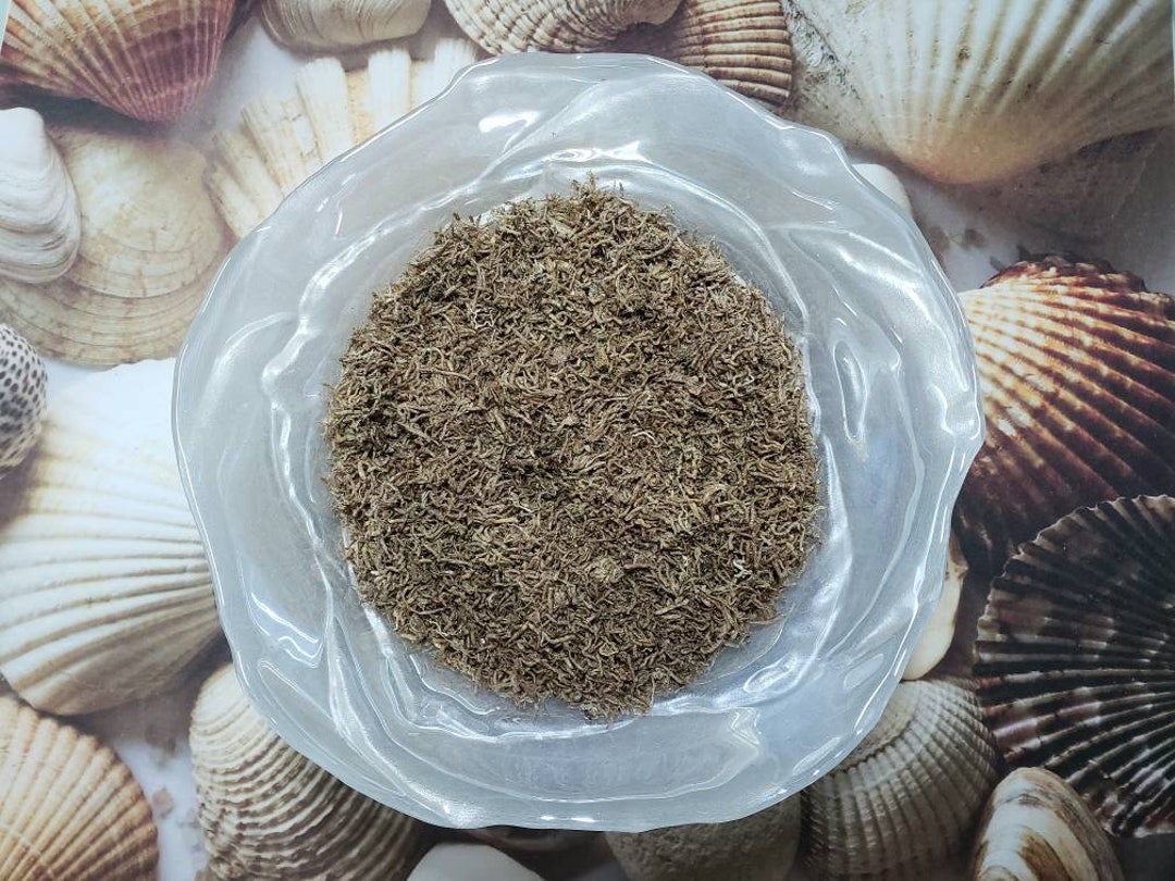 Freeze Dried Bloodworms | Hermit Crab Food - Etsy