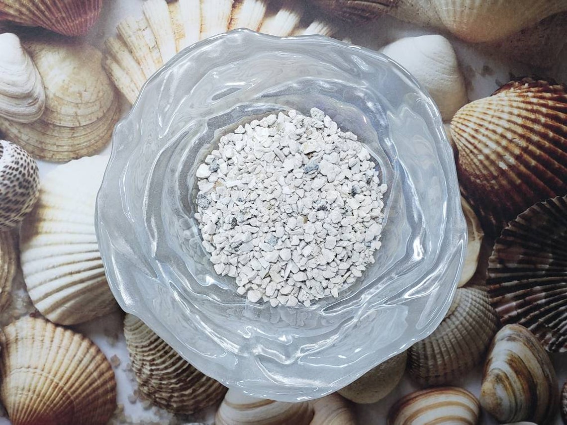 Crushed Coral/oyster Shell Hermit Crab Food | Etsy