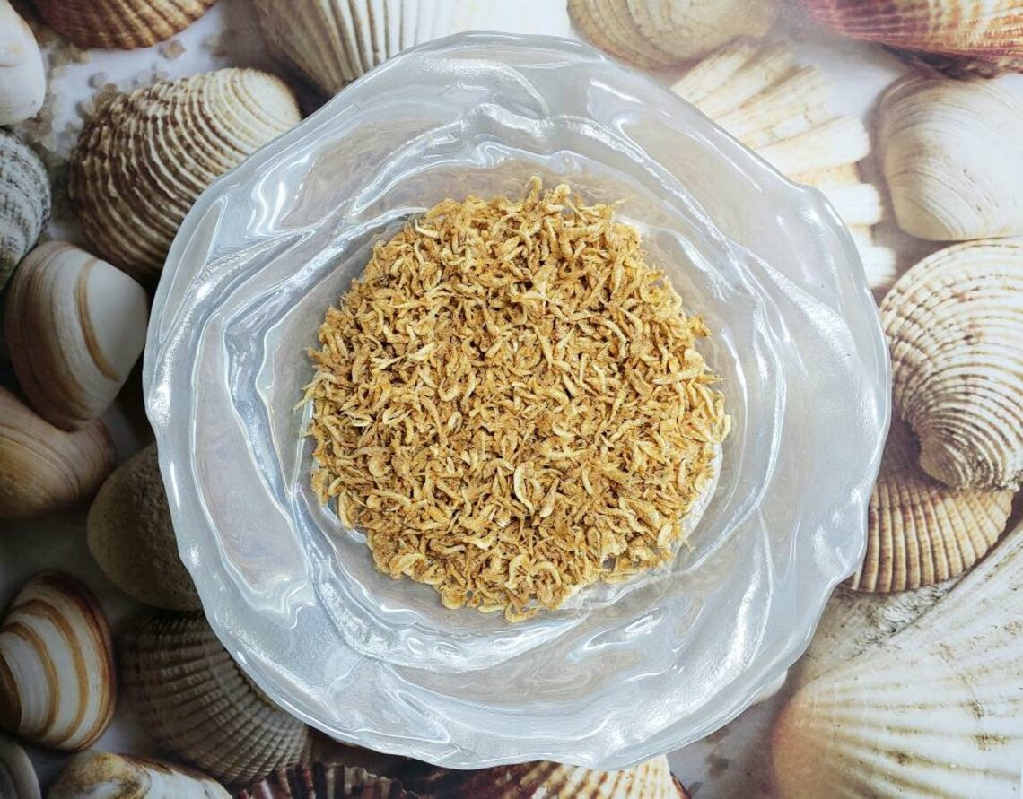 Freeze Dried Plankton | Hermit Crab Food - Etsy