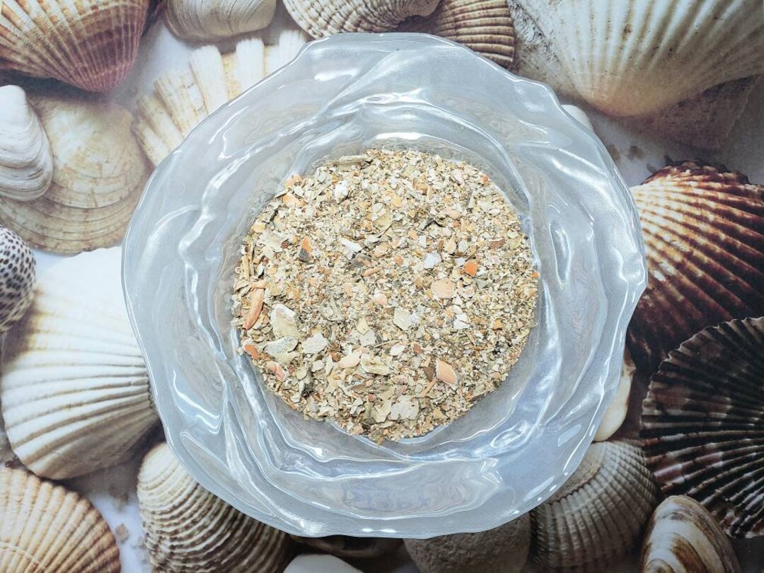 Crushed Crab & Lobster Exoskeleton | Hermit Crab Food - Etsy