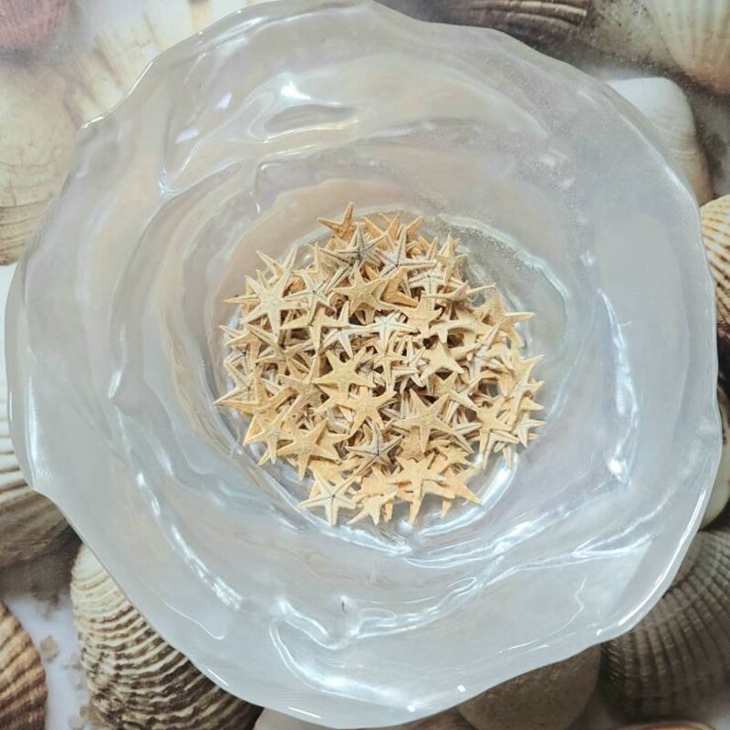 Starfish Home Decor - Etsy