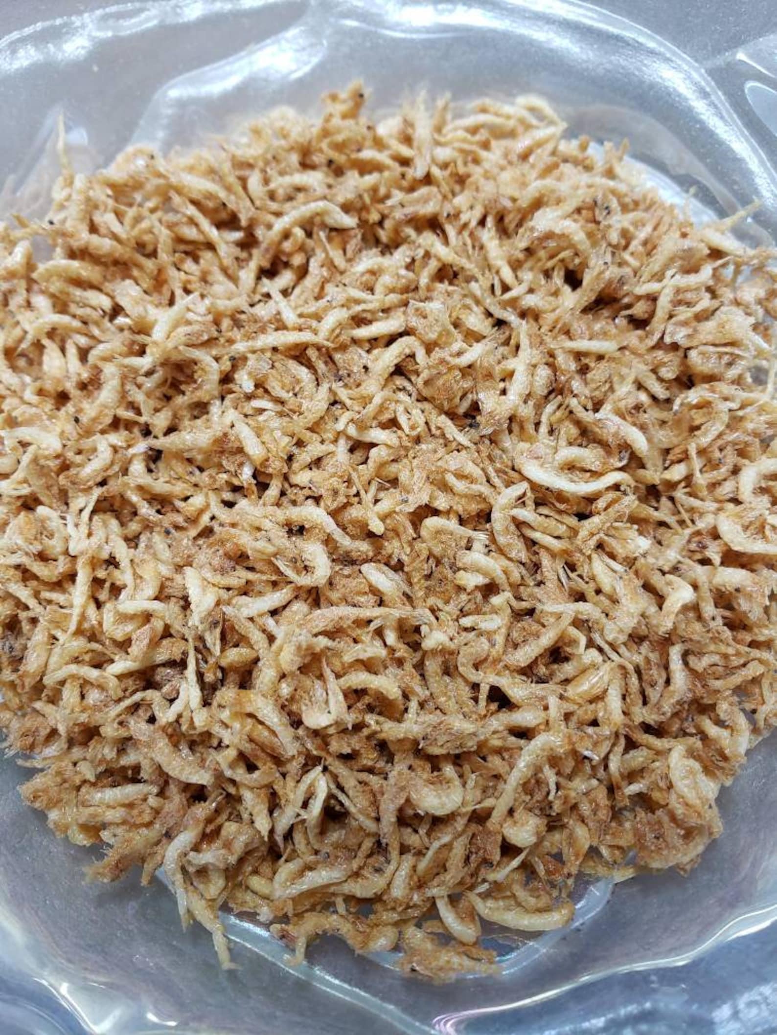 Freeze Dried Plankton | Hermit Crab Food - Etsy