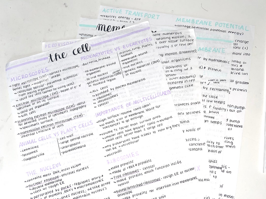 Biology Notes (55 Pages) - Etsy