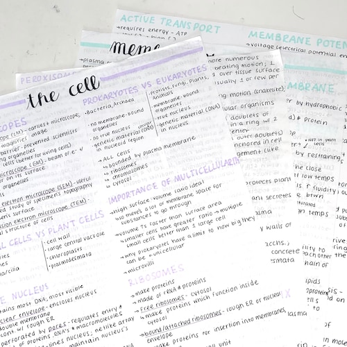 AP Biology Notes 70 Pages - Etsy