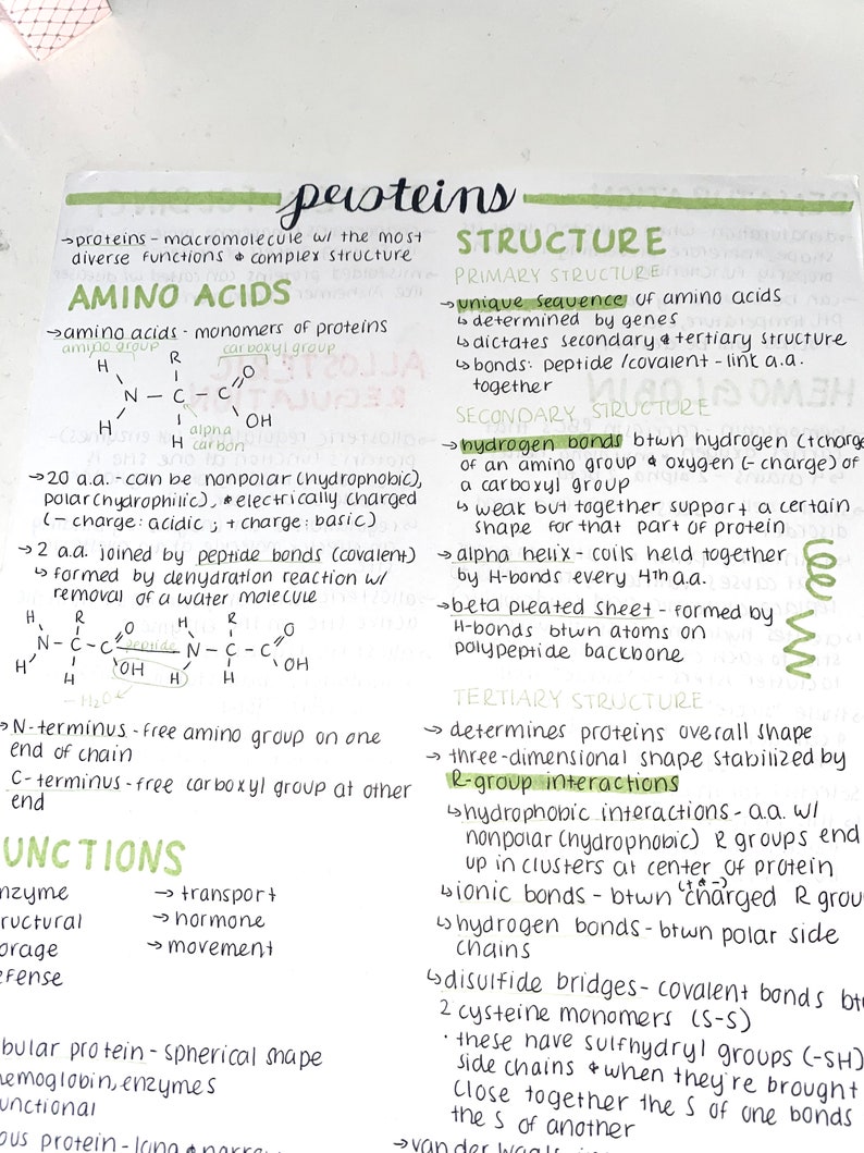 Biology Notes 55 Pages - Etsy Canada