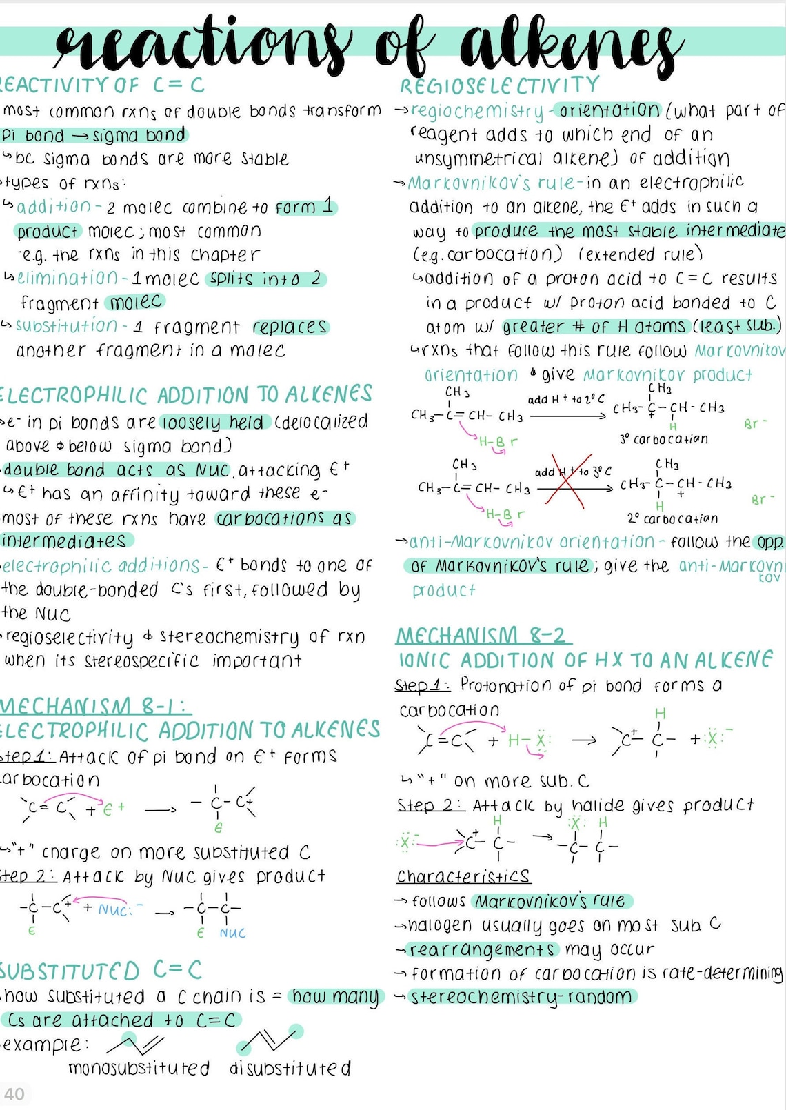 Organic Chemistry 1 Notes (40 Pages) - Etsy