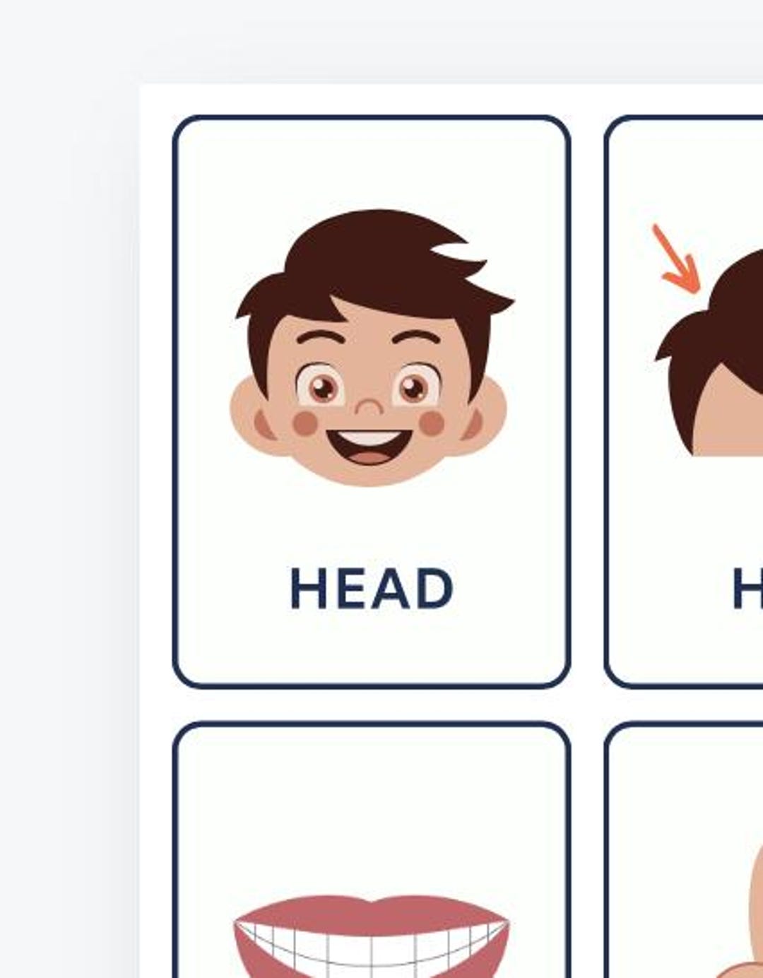 Pre-k Kindergarten Printable Body Parts Flashcards, Digital Instant ...