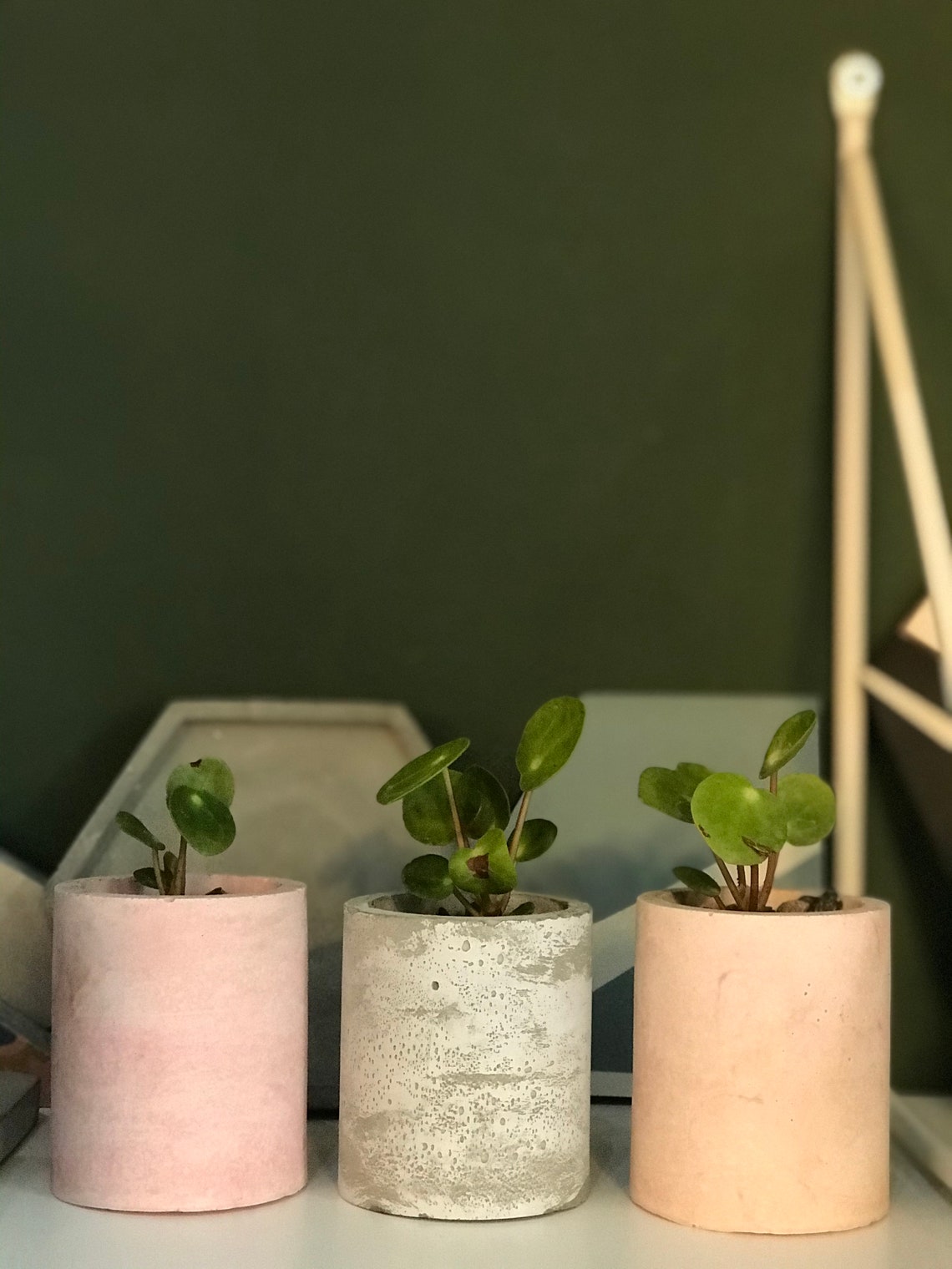 Set of 3 Boho Industrial Concrete and Jesmonite Planter Pos | Etsy