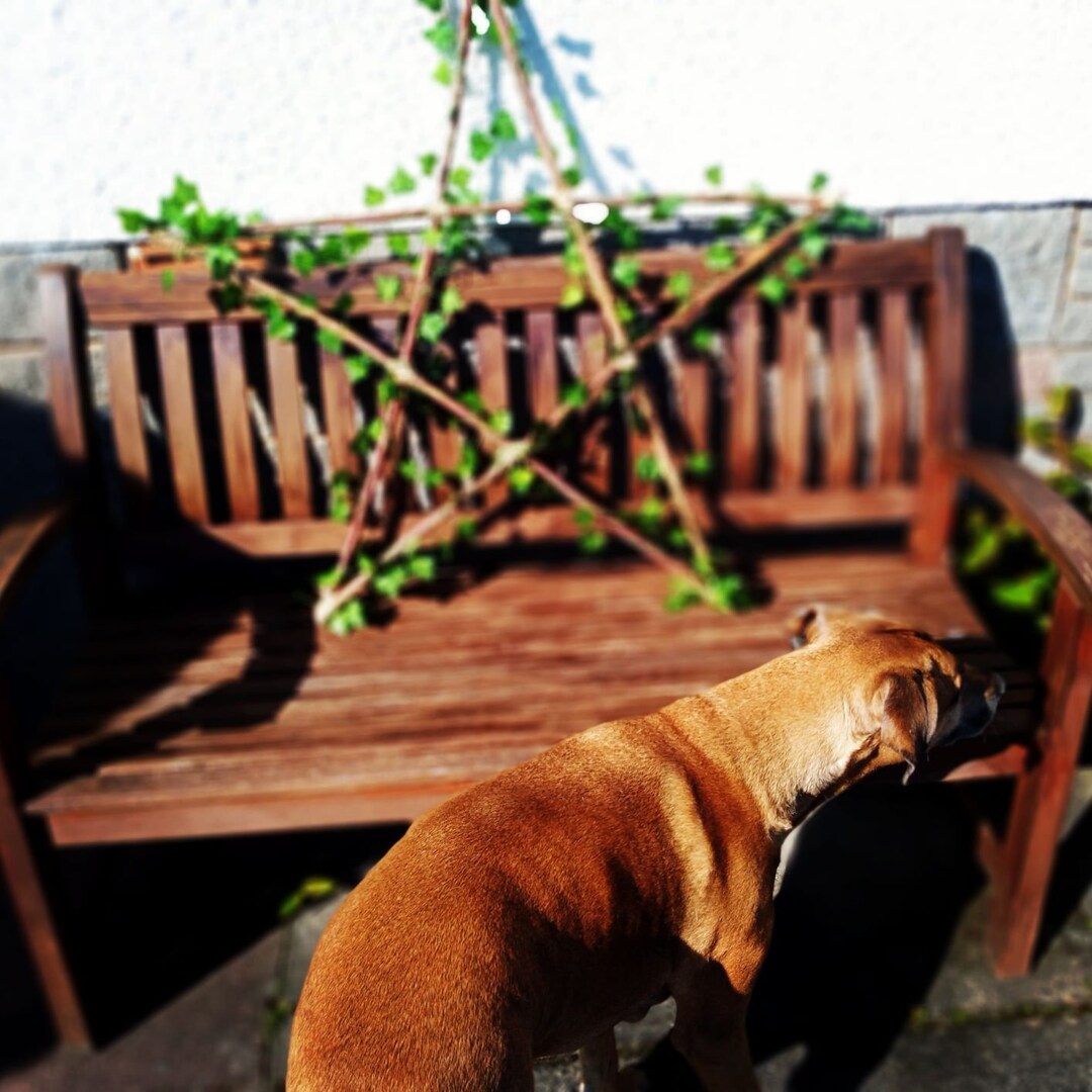 Large Rustic Star Light for Garden Wedding Decoration Garden Lights ...