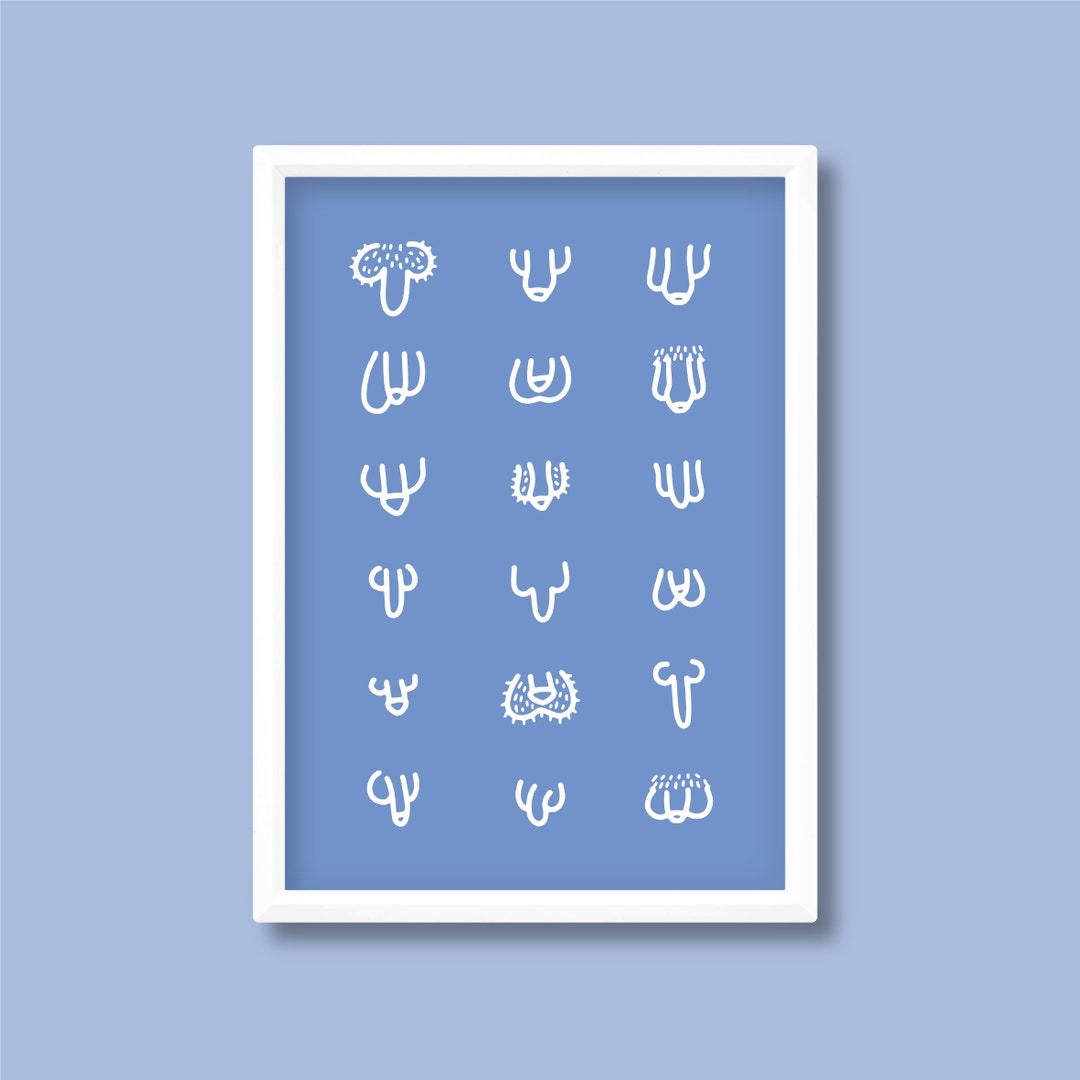 Willy Line Drawing Print Colourful Pastel Pink Green Blue Purple Yellow ...