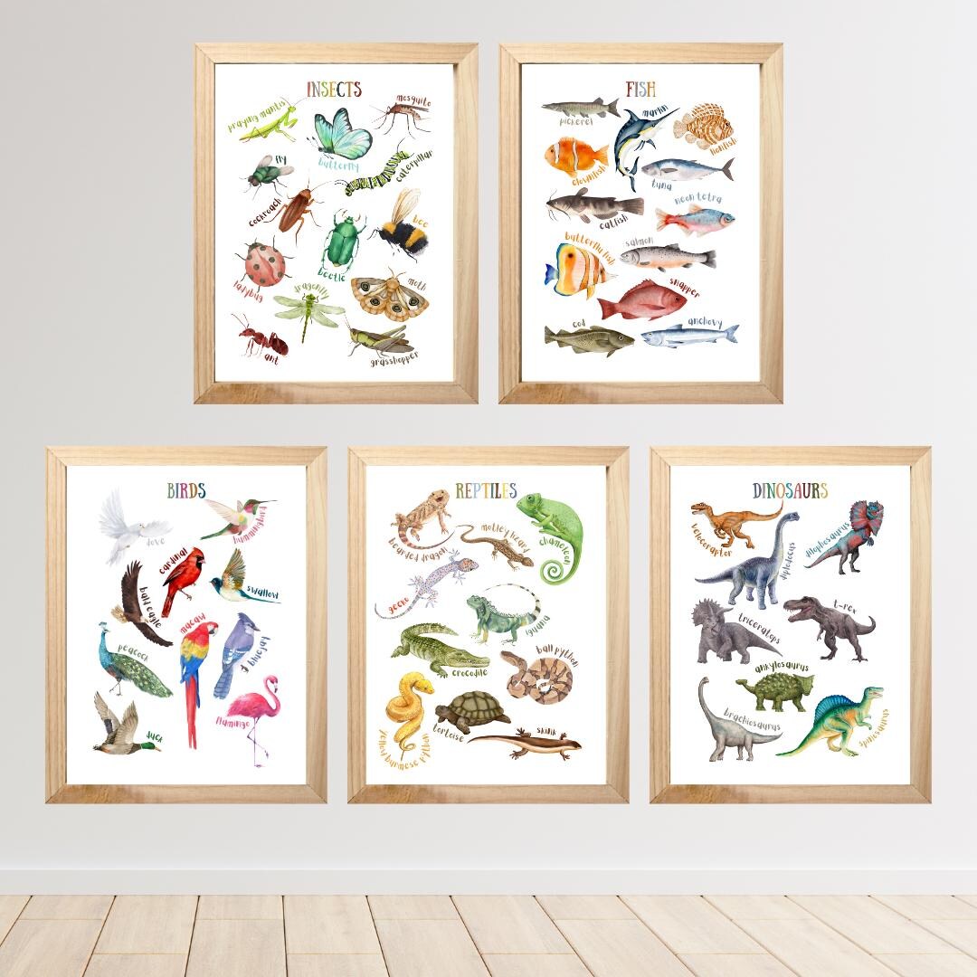 Animal Posters for Kids Set of 5, Bedroom, Classroom or Nursery Decor ...