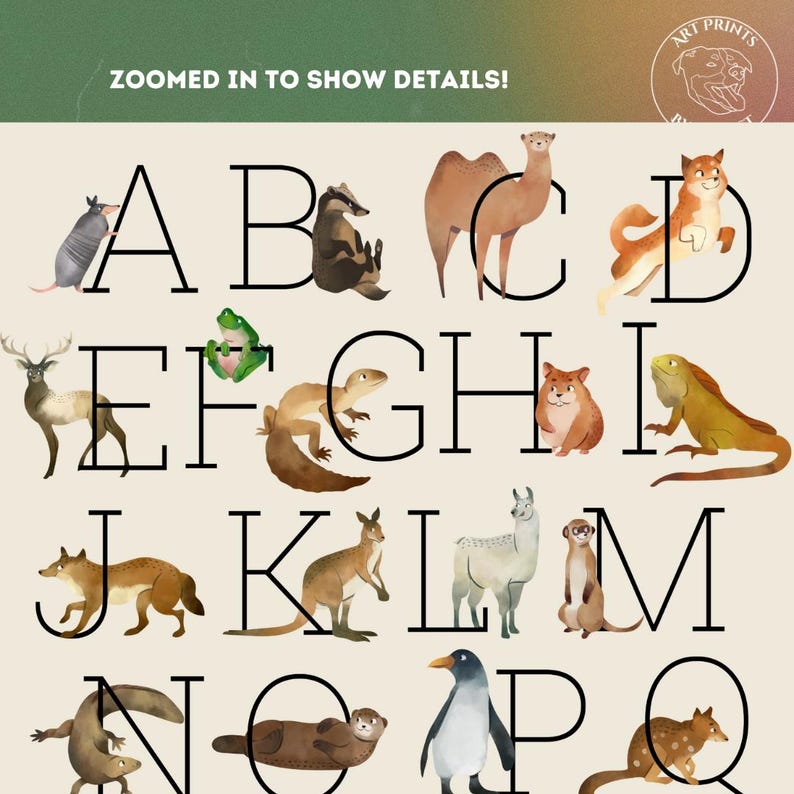 Cute ABC Animal Illustration Poster, Classroom Wall Art, Nursery Decor ...