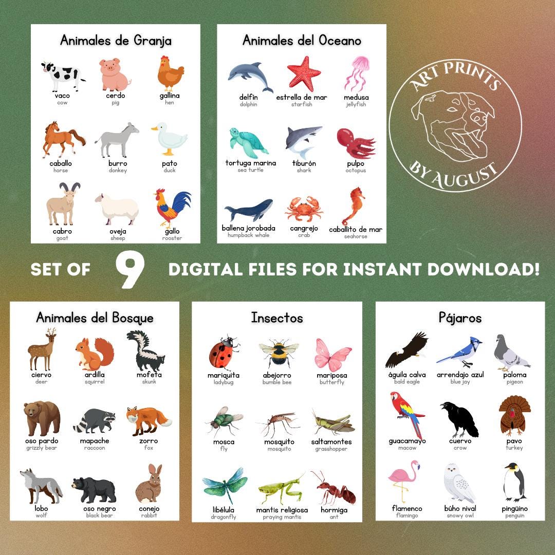 Spanish English Animal Posters, 80+ Vocab Words, Set of 9 Files for ...
