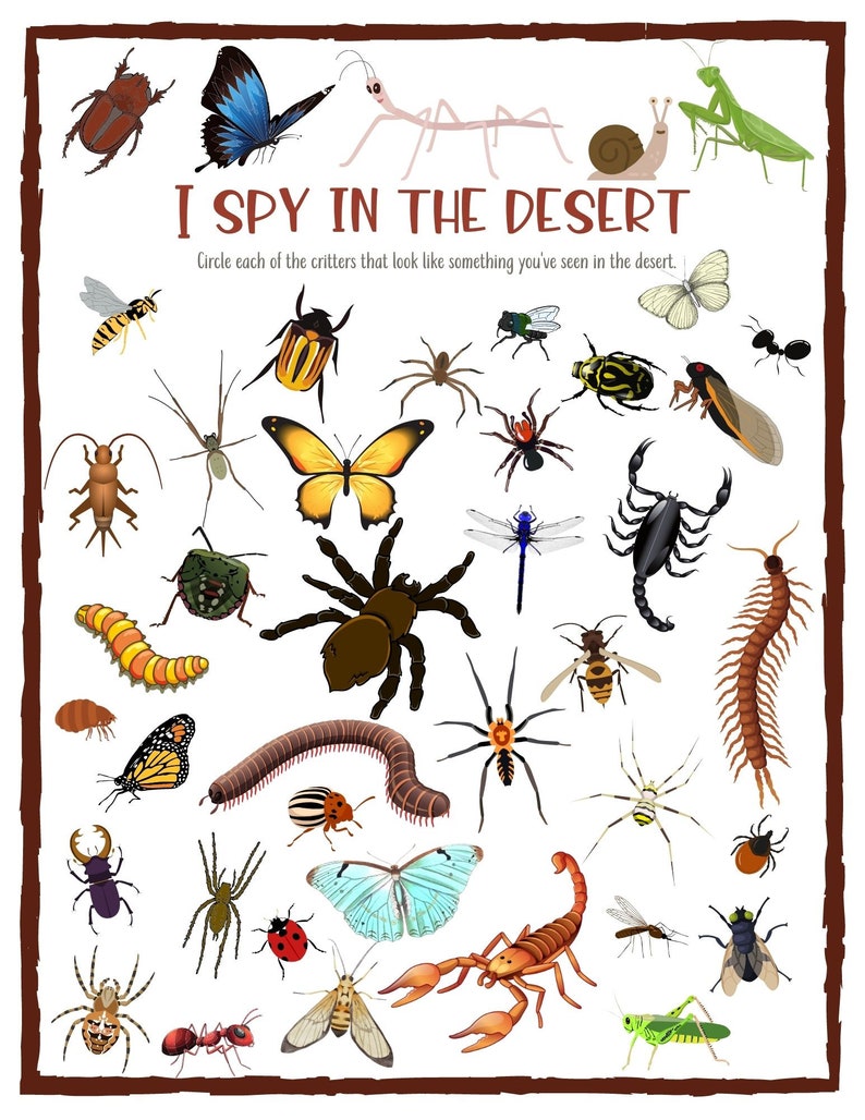 Desert Scavenger Hunt Kids Activity With I Spy and Who Lives in the ...