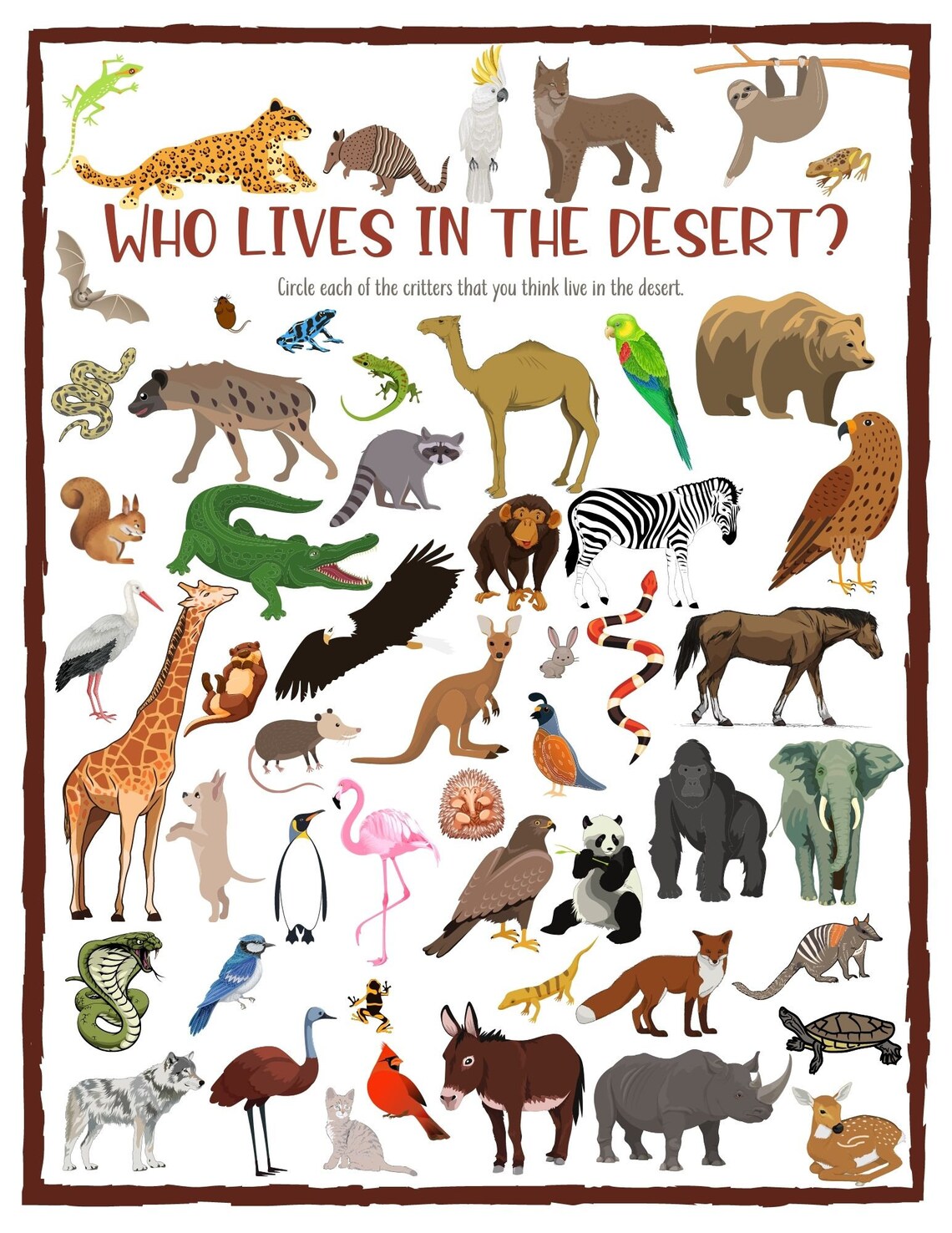 Desert Scavenger Hunt Kids Activity With I Spy and Who Lives in the ...