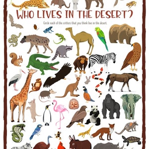 Desert Scavenger Hunt Kids Activity With I Spy and Who Lives in the ...