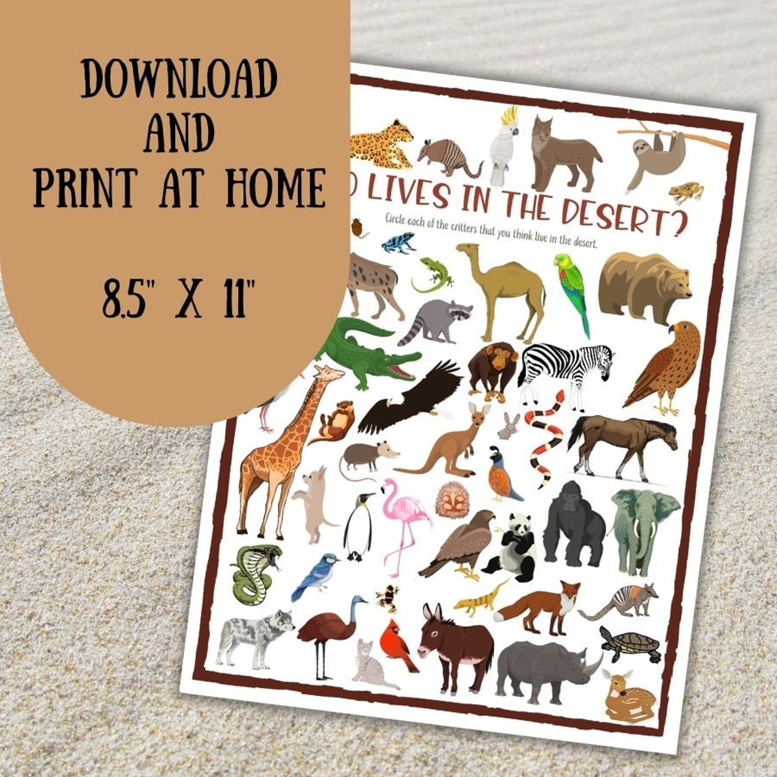 Desert Scavenger Hunt Kids Activity With I Spy and Who Lives in the ...