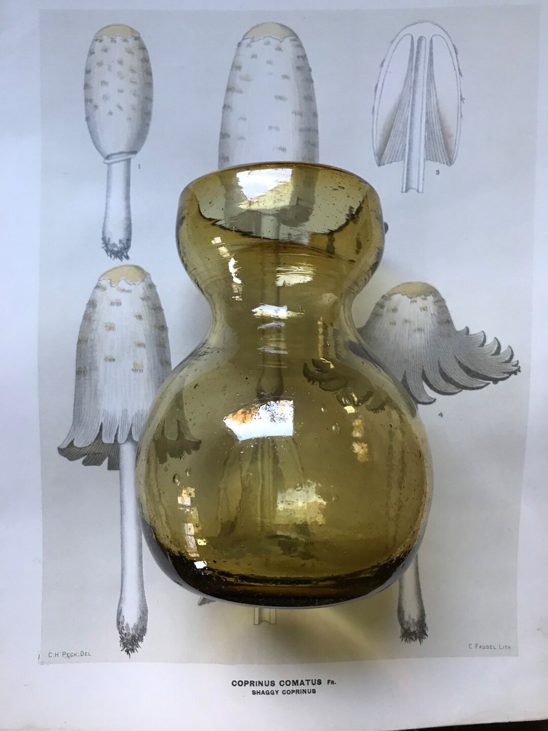 Antique French Hyacinth Vase French Bulb Vase Glass Industrial Flower ...