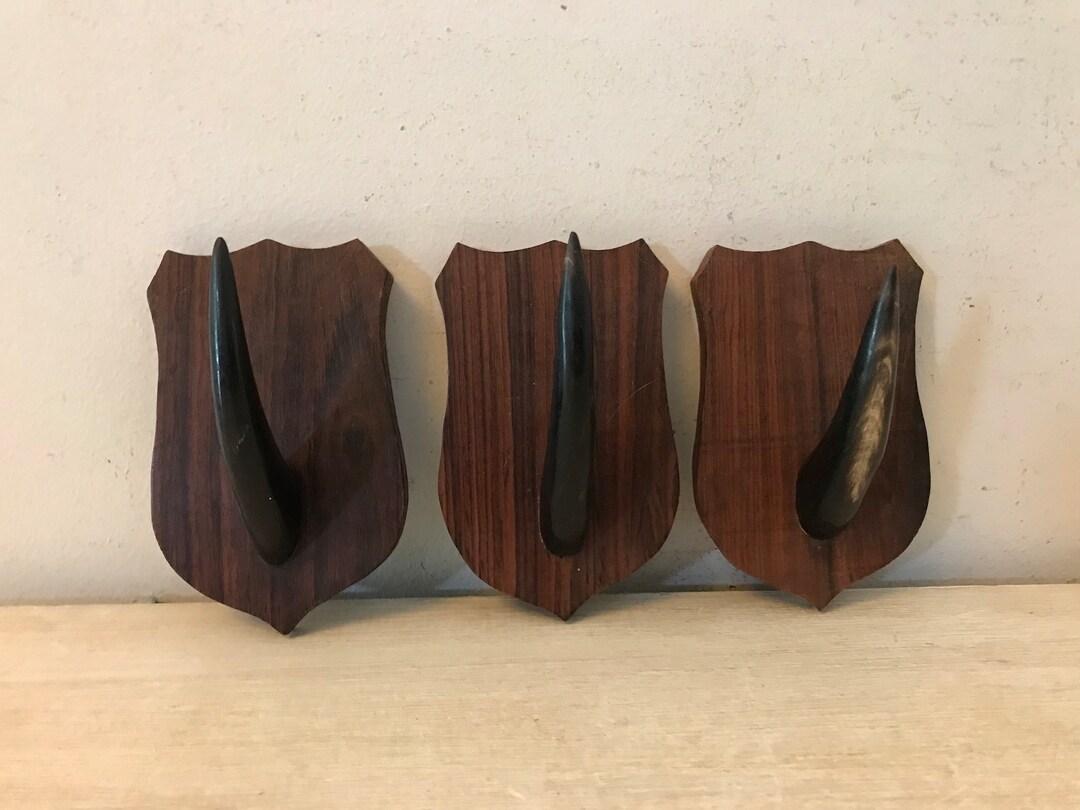 Antique Horn Mount Hook Shield Wood Mid Century Antlers Mount Taxidermy ...